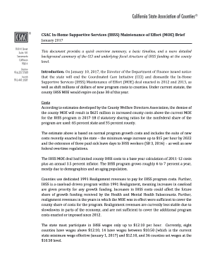 Fillable Online Brief Cognitive Rating Scale BCRS. BCRS assessment ...
