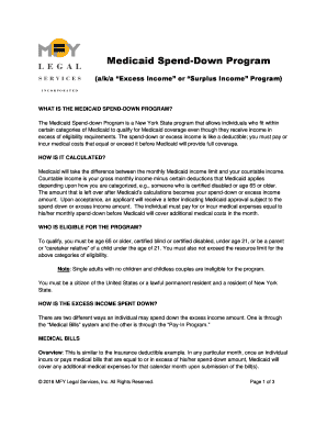 Fillable Online (a/k/a Excess Income or Surplus Income Program) Fax ...