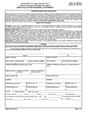 Fillable Online DEBT COLLECTION FINANCIAL STATEMENT Fax Email Print - pdfFiller