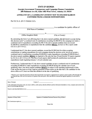 Fillable Online STATE OF GEORGIA Georgia Government Transparency and ...