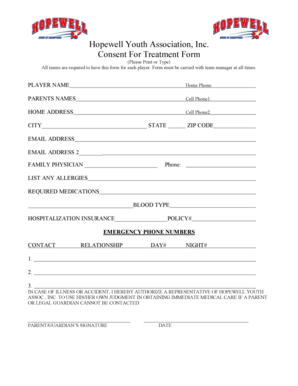 Fillable Online Hopewell Youth Association, Inc. Consent For Treatment Form Fax Email Print ...