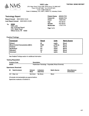 Fillable Online TESTING: DEMO REPORT Fax Email Print - pdfFiller