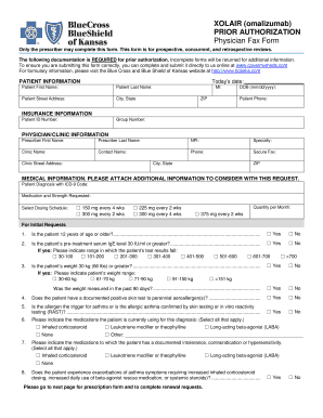 Fillable Online () Prior Authorization Physician Fax Form Fax Email ...