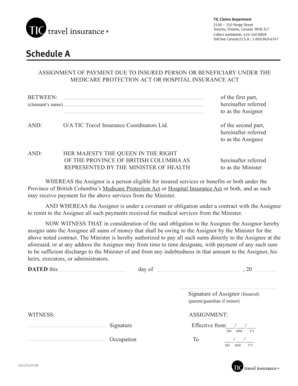 Fillable Online travellersinsurance EHM-BCscheduleAB. to be filed with ...