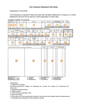 Fillable Online Explanation of Pay Stub Fax Email Print - pdfFiller