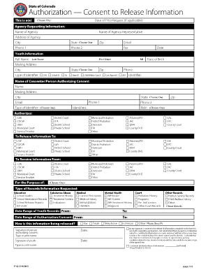 Fillable Online coloradoedinitiative State of Colorado Consent to ...