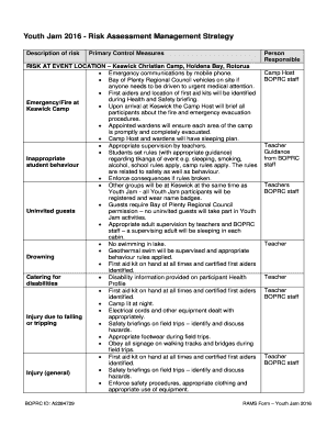 Fillable Online Youth Jam 2016 - Risk Assessment Management Strategy ...