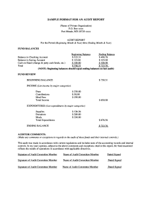 Fillable Online SAMPLE FORMAT FOR AN AUDIT REPORT Fax Email Print ...