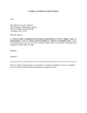 Fillable Online SAMPLE LETTER OF APPOINTMENT Fax Email Print - pdfFiller