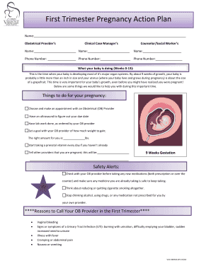 Fillable Online First Trimester Pregnancy Action Plan Fax Email Print - pdfFiller