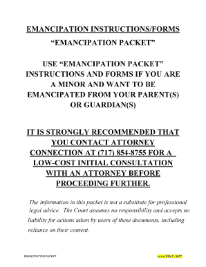 Fillable Online EMANCIPATION INSTRUCTIONS/FORMS ... - York County Fax ...