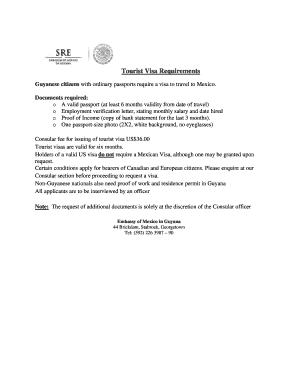 Fillable Online Visa application form - Secretara de Relaciones ...