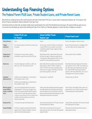 Fillable Online Understanding Gap Financing Options Fax Email Print ...