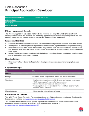 Fillable Online Principal Application Developer Fax Email Print - pdfFiller