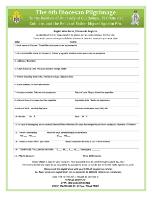 Fillable Online The 4th Diocesan Pilgrimage Fax Email Print - pdfFiller