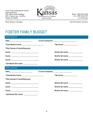 Fillable Online FOSTER FAMILY BUDGET Fax Email Print - pdfFiller