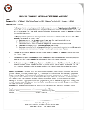 Fillable Online EMPLOYEE PROMISSORY NOTE & LOAN FORGIVENESS AGREEMENT ...