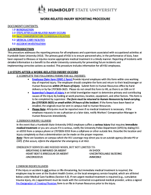 Fillable Online WORK-RELATED INJURY REPORTING PROCEDURE Fax Email Print ...