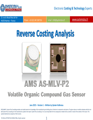 Fillable Online System Plus Consulting is in no case responsible for ...