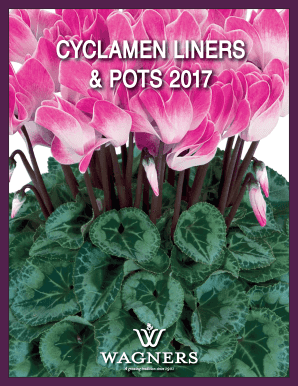 Fillable Online Sponsor Permission Form Fax Email Print - pdfFiller