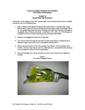 Fillable Online Verification of the integrity of the VST nozzle vapor ...