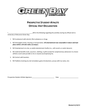 Fillable Online OFFICIAL VISIT DECLARATION Fax Email Print - pdfFiller