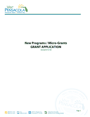 Fillable Online New Programs / Micro-Grants Fax Email Print - pdfFiller