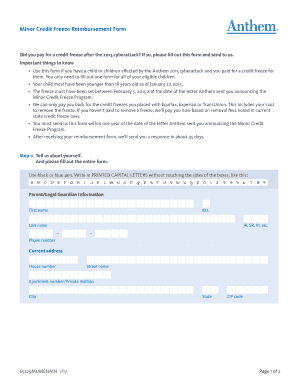 Fillable Online Minor Credit Freeze Reimbursement Form Fax Email Print ...