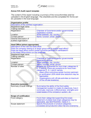 Fillable Online Annex IVA Audit report template Fax Email Print - pdfFiller
