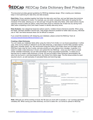 Fillable Online REDCap Data Dictionary Best Practice Fax Email Print ...