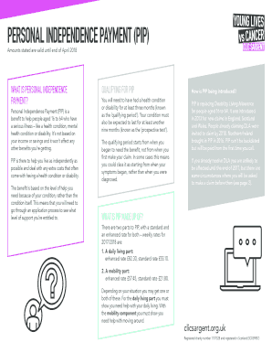 Fillable Online PERSONAL INDEPENDENCE PAYMENT (PIP) Fax Email Print ...