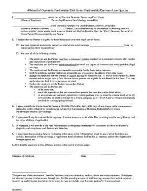 Fillable Online Affidavit of Domestic Partnership/Civil Union ...