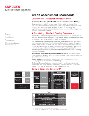 Fillable Online Credit Assessment Scorecards Fax Email Print - pdfFiller