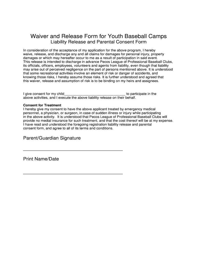 Fillable Online Waiver and Release Form for Youth Baseball Camps Fax ...