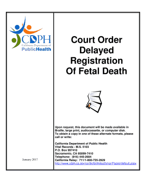 Fillable Online Court Order Delayed Registration of Fetal Death Fax ...