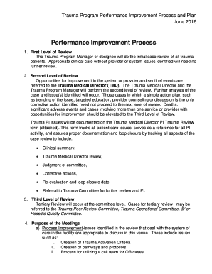 Fillable Online Trauma Program Performance Improvement Process and Plan ...
