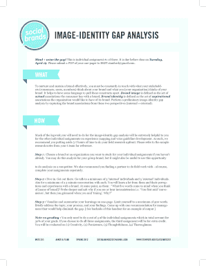 Fillable Online IMAGE-IDENTITY GAP ANALYSIS Fax Email Print - pdfFiller