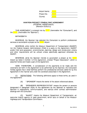 AVIATION PROJECT CONSULTANT AGREEMENT Doc Template | pdfFiller