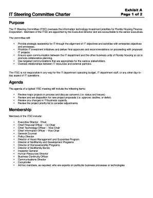 Fillable Online IT Steering Committee Charter Fax Email Print - pdfFiller