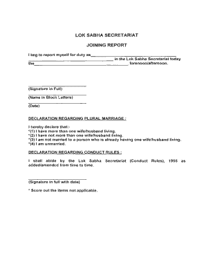 Report Duty Email - Fill Online, Printable, Fillable, Blank | pdfFiller