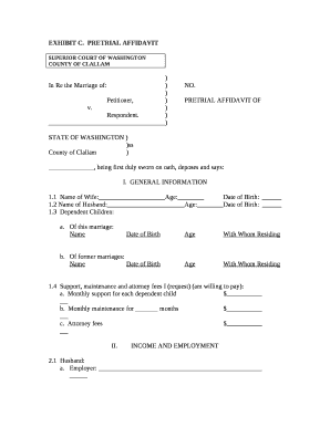PRETRIAL AFFIDAVIT Doc Template | pdfFiller