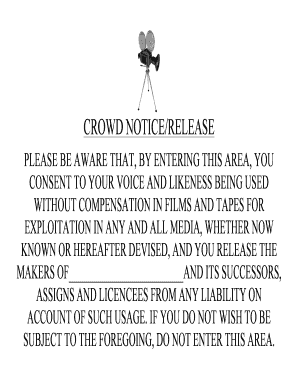 Fillable Online canadianexperience Special Committee on Voter ...