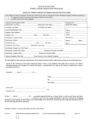 JUDICIAL FORECLOSURE INATION/AFFIDAVIT Doc Template | pdfFiller