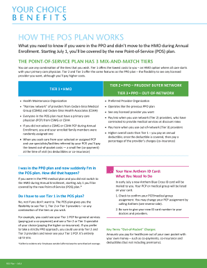 Fillable Online How the POS Plan Works Fax Email Print - pdfFiller