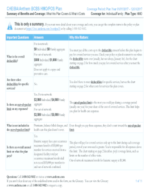 Fillable Online CHEIBA/Anthem BCBS HMO/POS Plan Fax Email Print - pdfFiller