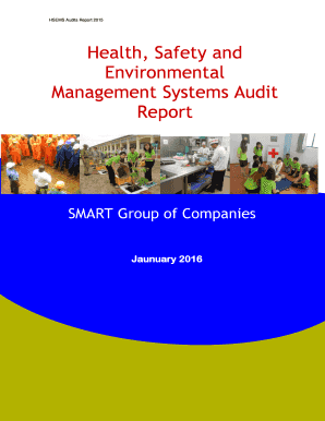 Fillable Online Management Systems Audit Fax Email Print - pdfFiller