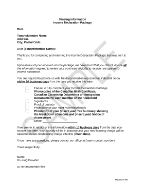 Income Declaration Package Doc Template | pdfFiller