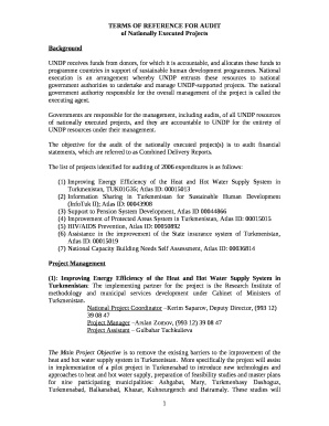 TERMS OF REFERENCE FOR AUDIT Doc Template | pdfFiller