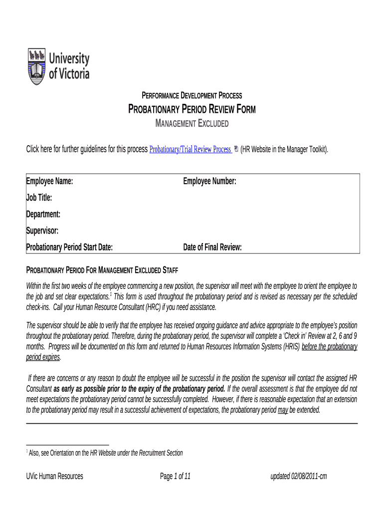 Perance Development Process Doc Template | pdfFiller