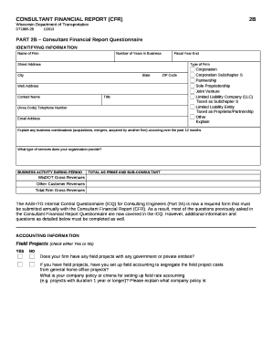 CONSULTANT FINANCIAL REPORT (CFR)2B Doc Template | pdfFiller